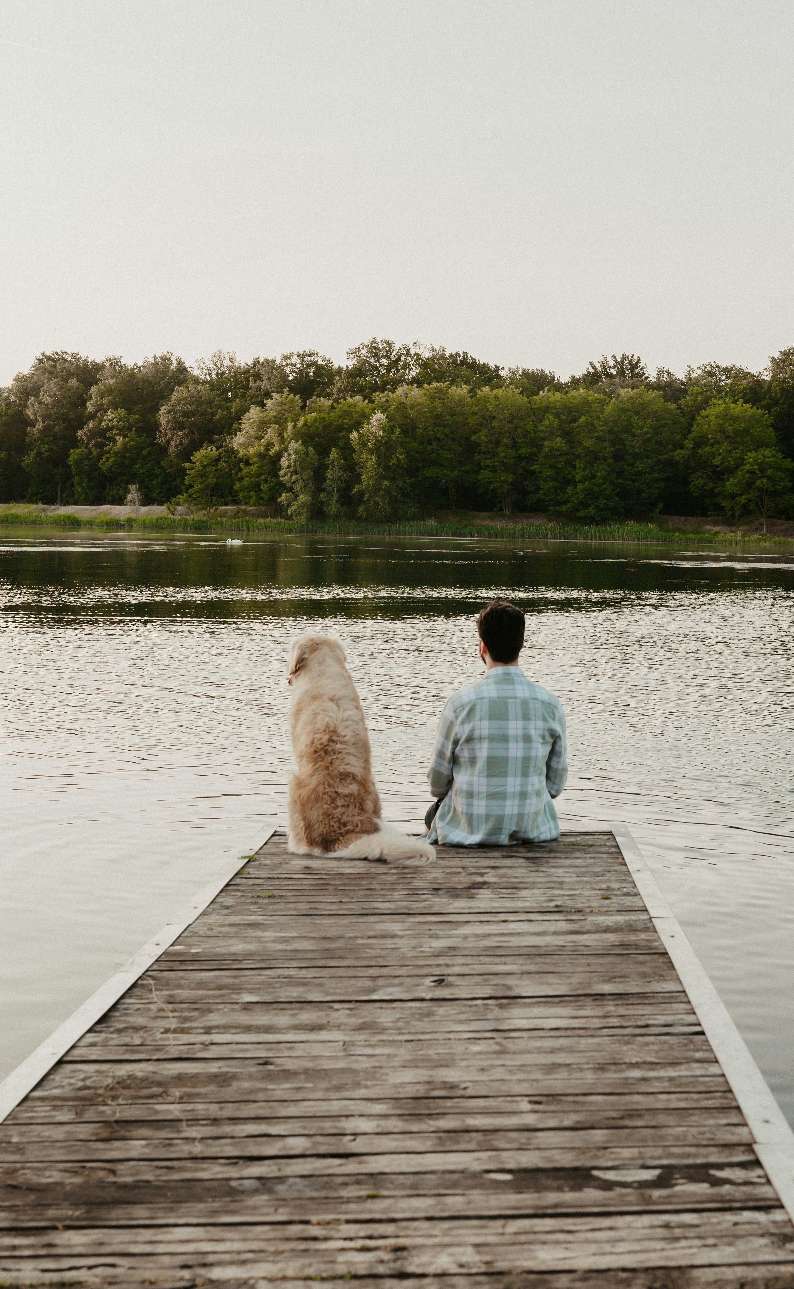 Advice for Collecting Ashes After Cremation – OneWorld Memorials